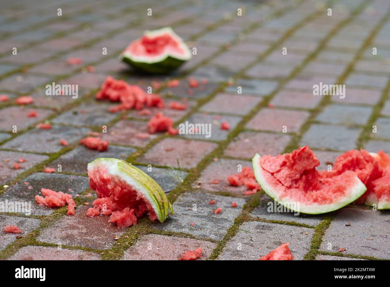 Dropped watermelon on the ground Stock Photo - Alamy