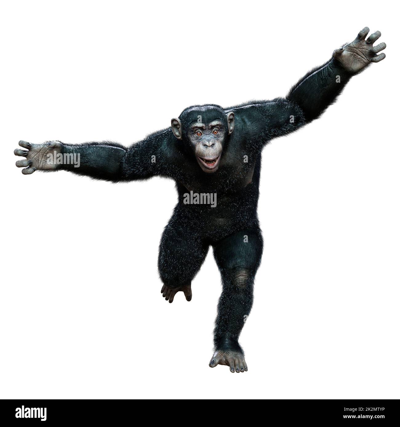 3D Rendering Chimpanzee on White Stock Photo - Alamy