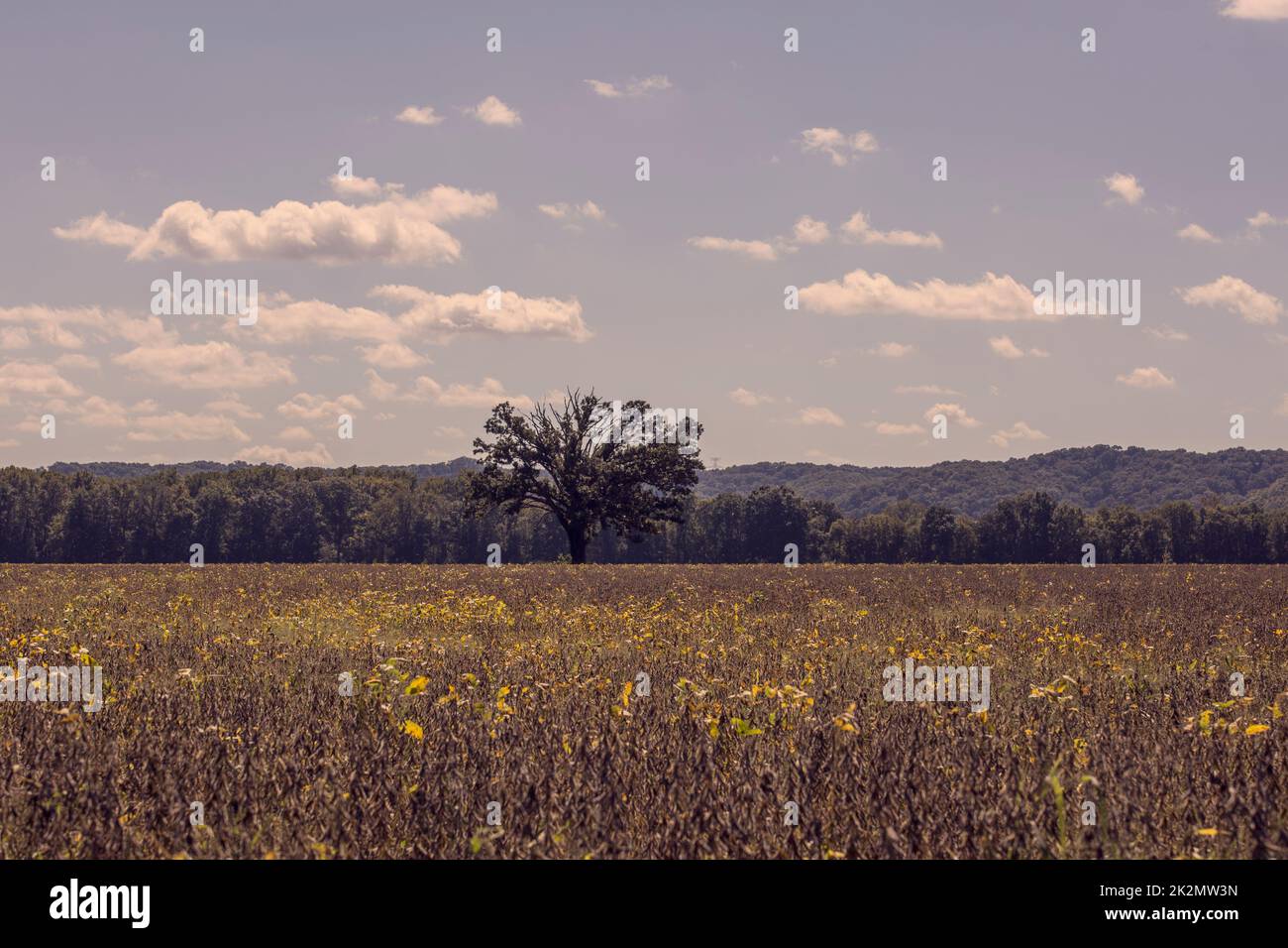 Times beach missouri hi-res stock photography and images - Alamy