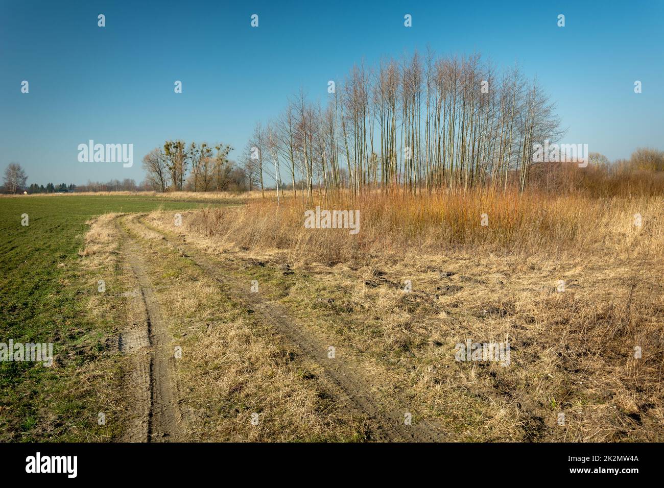 Rural areas with beautiful scenic trees hi-res stock photography and ...