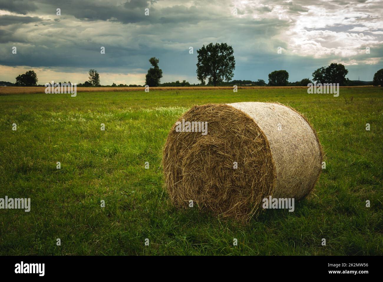 Round hay bale in a green meadow and cloudy sky Stock Photo - Alamy