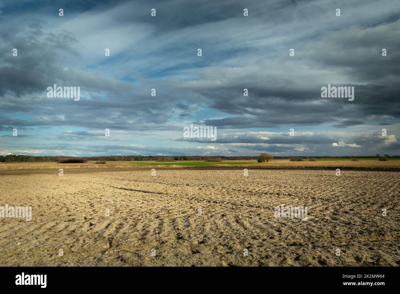 Field and cloudy sky hi-res stock photography and images - Alamy