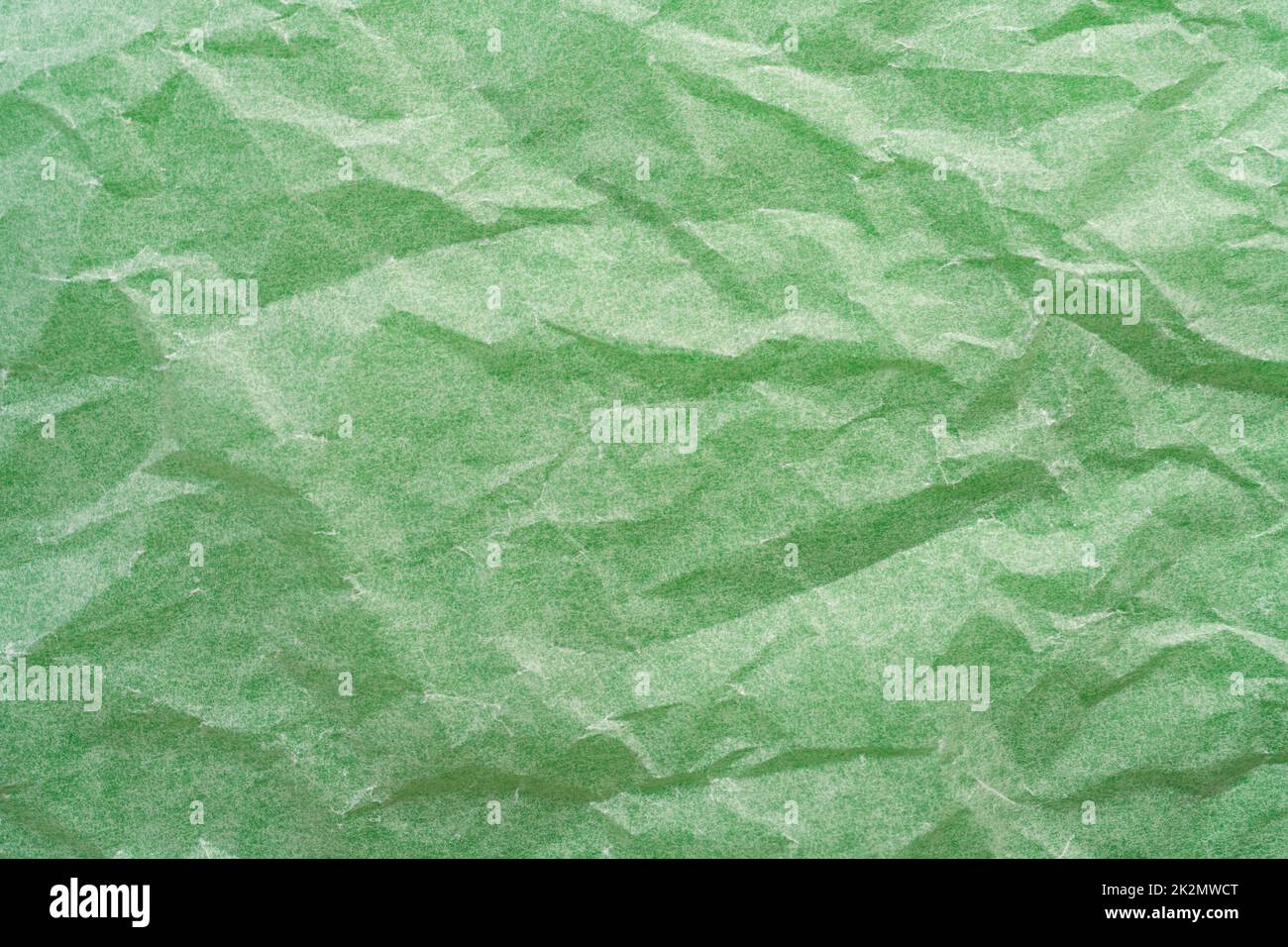 Green crumpled paper color hi-res stock photography and images - Alamy