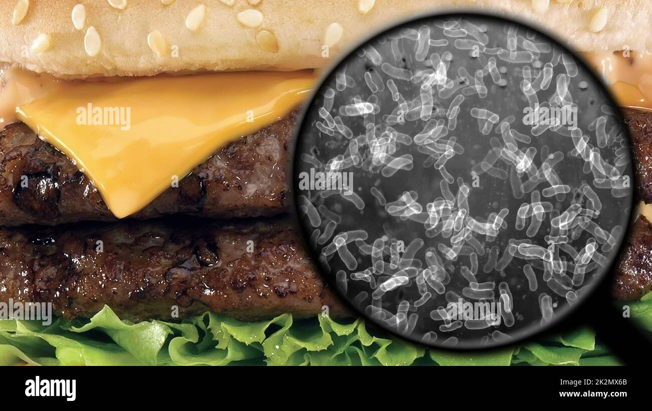 Searching bacteria in burger hi-res stock photography and images - Alamy