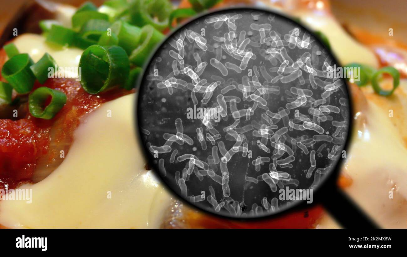 Searching for bacteria in meal Stock Photo - Alamy