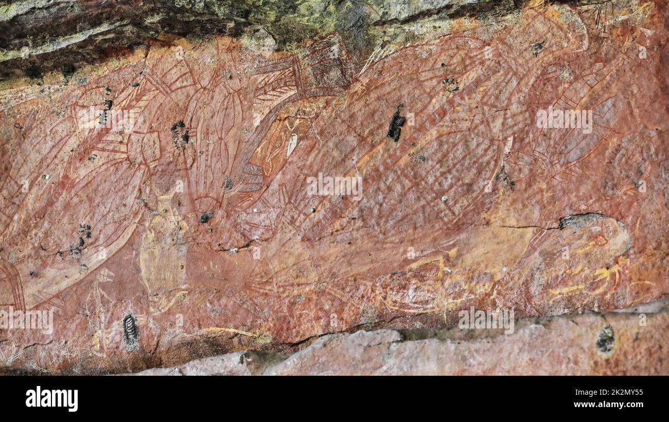 184 Aboriginal rock art. Mullet and barramundi fishes in X-ray style ...