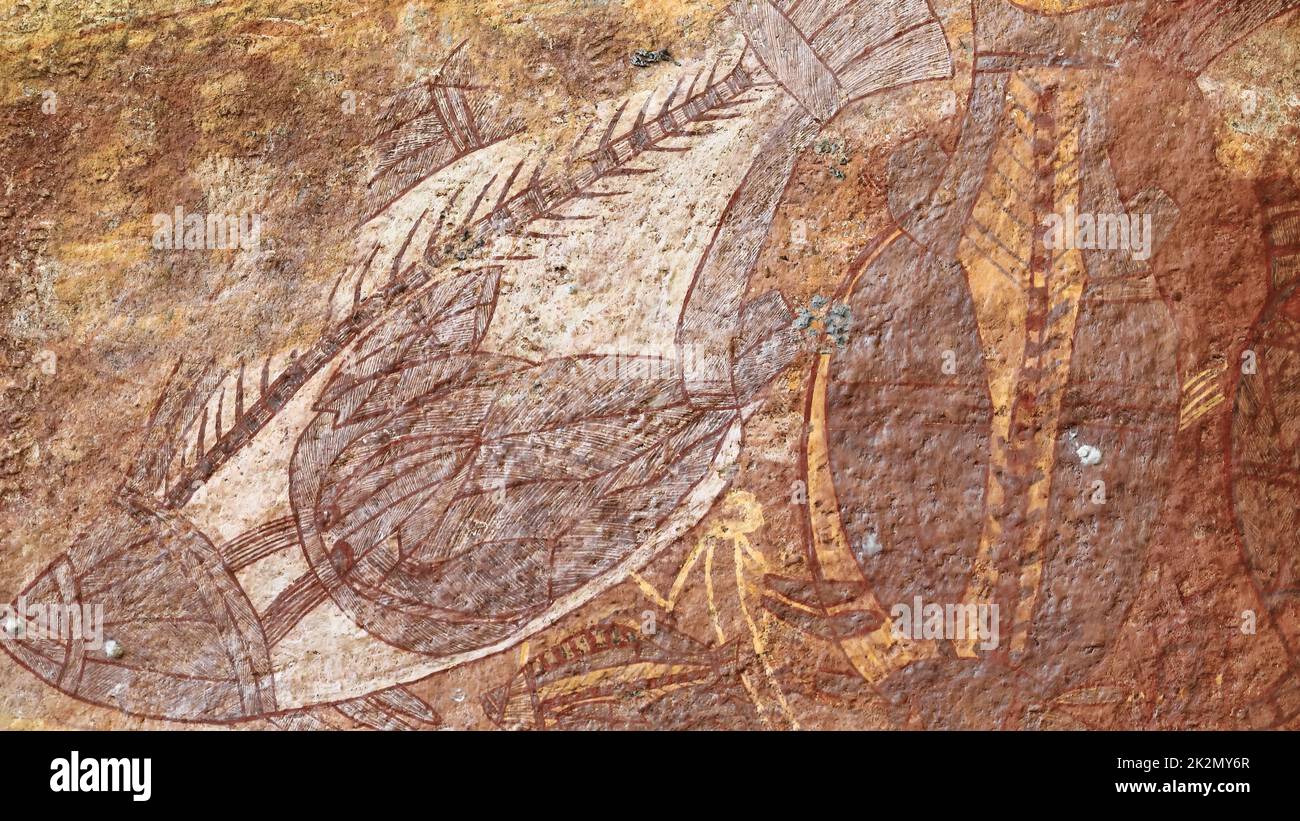Aboriginal rock art: fishes -barramundi-cat-mullet- in red-brown tones and X-ray style. Ubirr ...