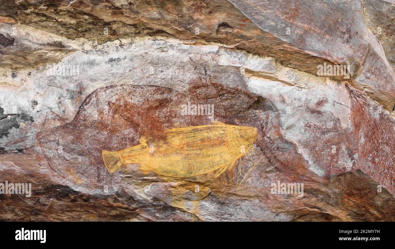Aboriginal rock art: favorite food of barramundi and mullet fishes ...