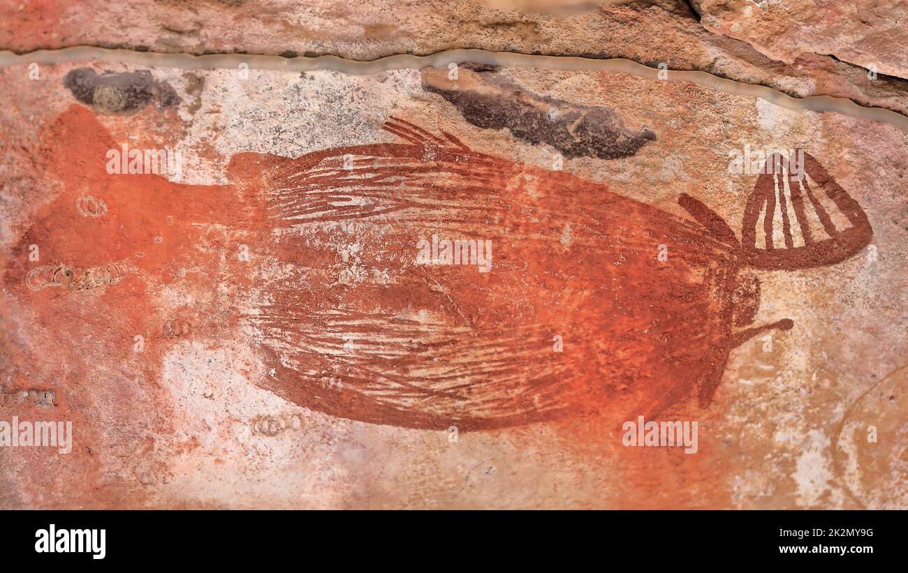 Aboriginal rock art: infilled painting of mullet fish-gu nadju-in red ...
