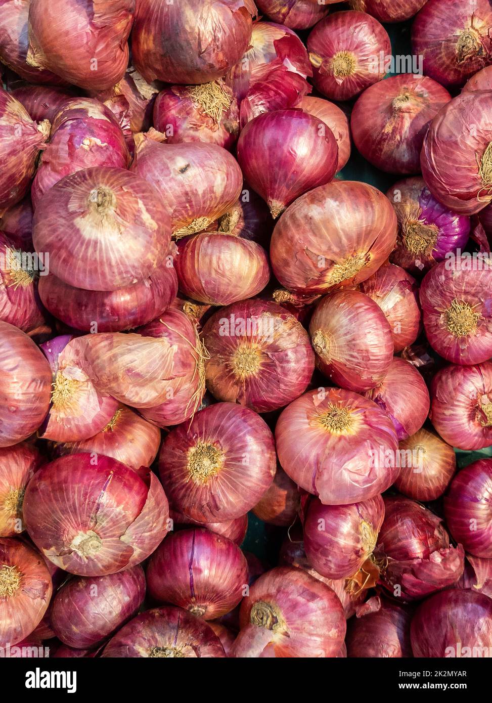 Pile of raw shallot with red shell in stall at supermarket Stock Photo ...
