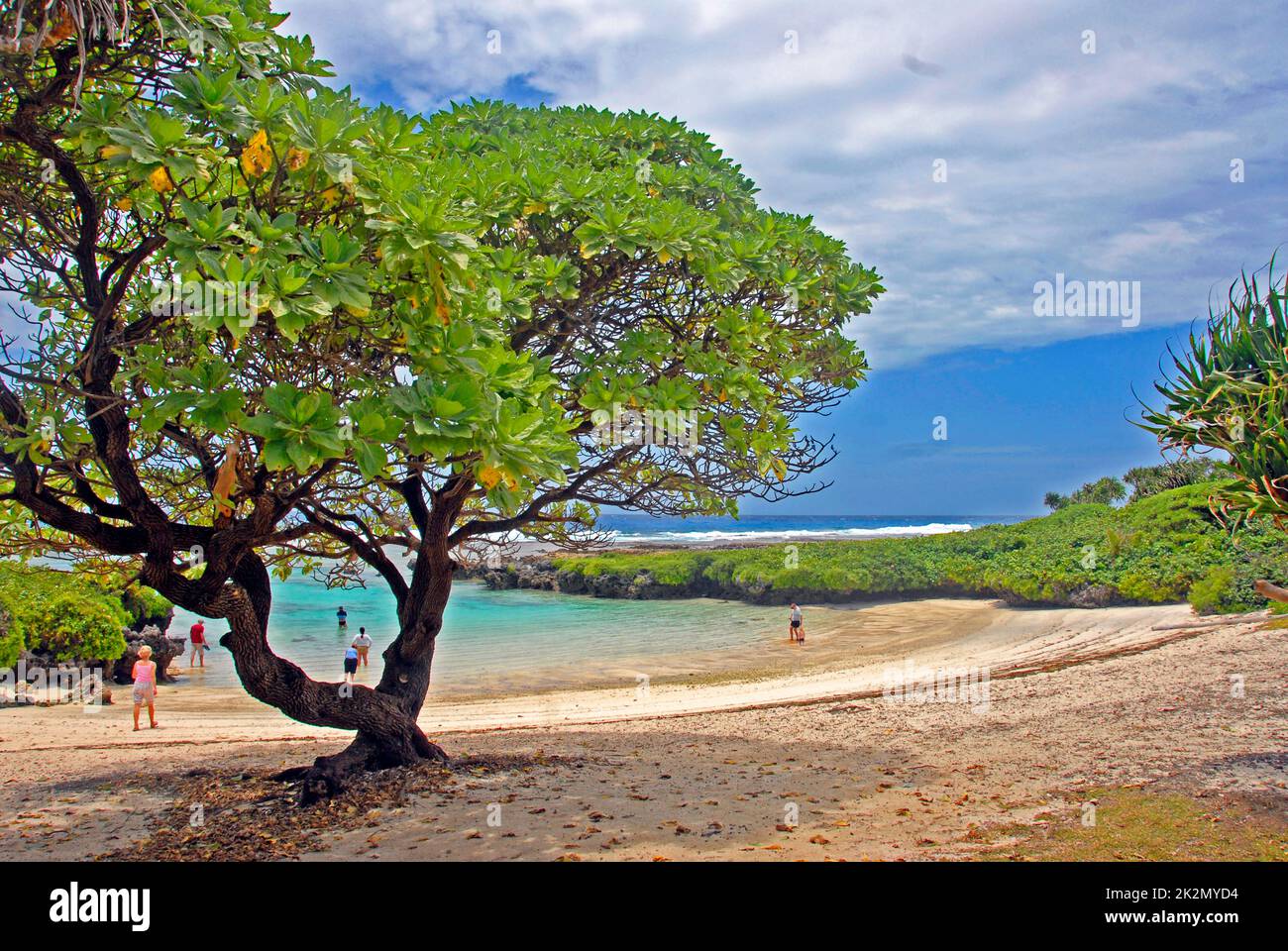 beach, Efate island, Vanuatu Stock Photo - Alamy