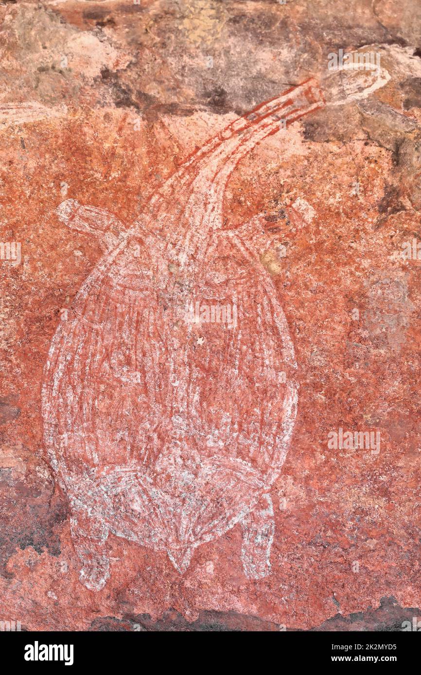 Aboriginal rock art: long neck turtle being hunted by locals. Ubirr ...
