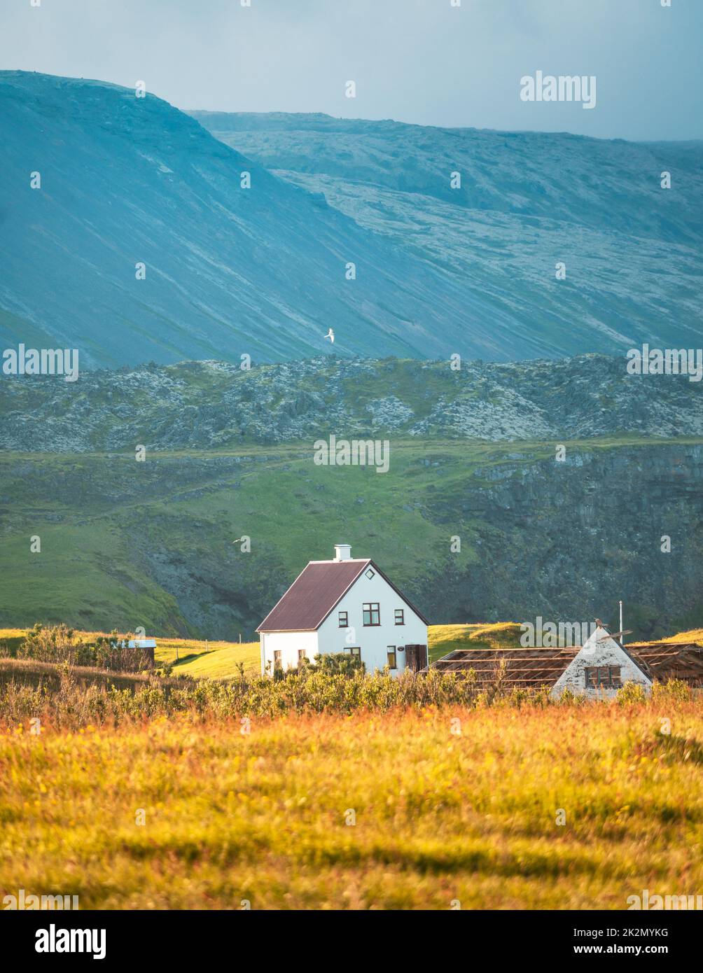 Picturesque of Icelandic wooden house glowing with sunlight on meadow ...