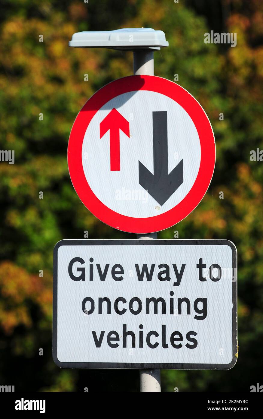 Give way to oncoming vehicles road sign Stock Photo - Alamy