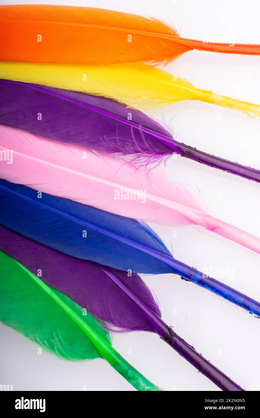 Studio shot photo of colored bird feathers as texture background Stock ...