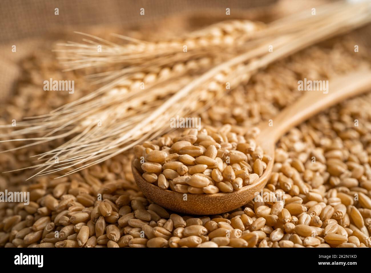 Barley rice wheat grains hi-res stock photography and images - Alamy
