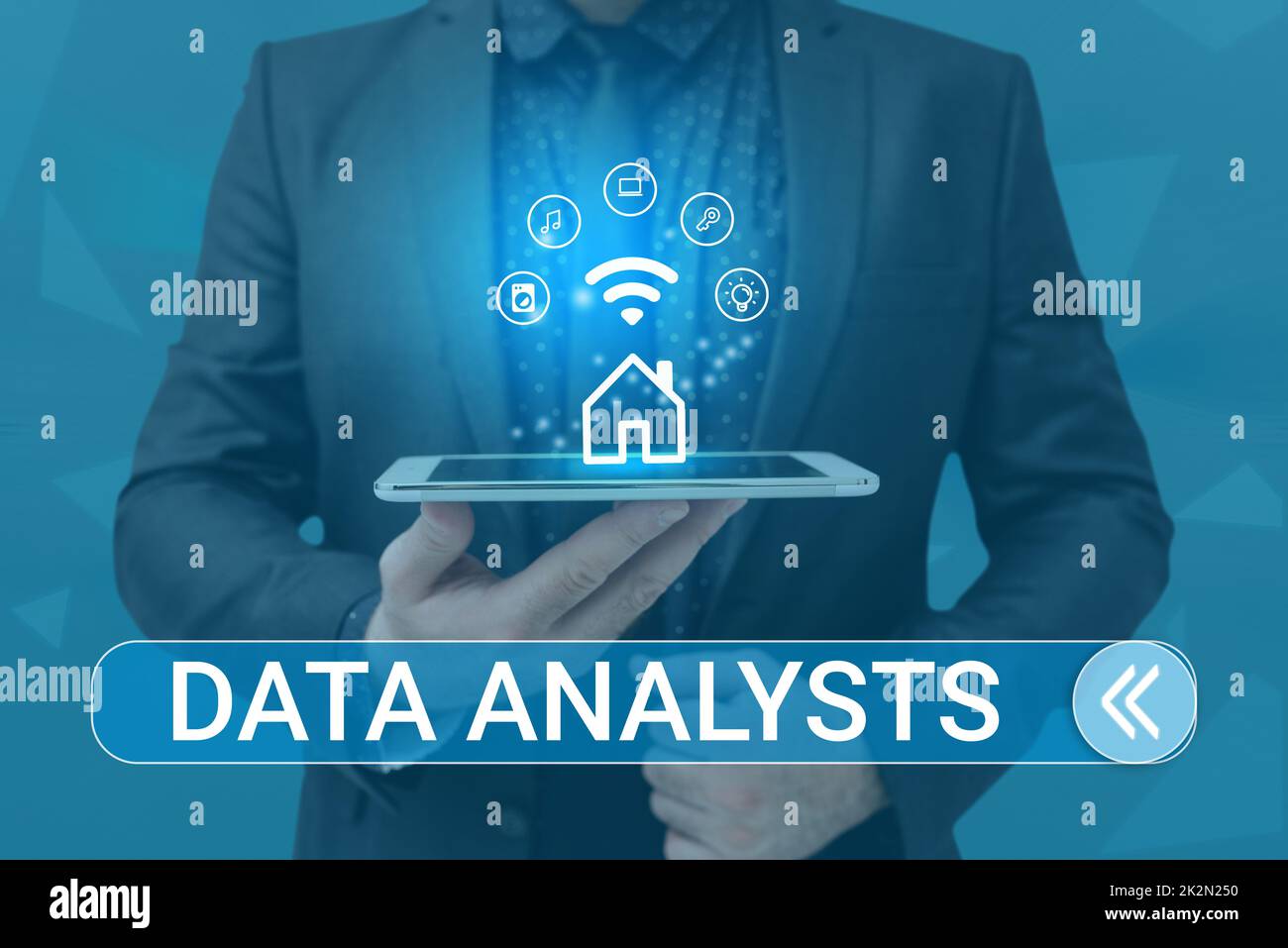 Conceptual Display Data Analysts Word For Programmer Design And Create Report Identifies
