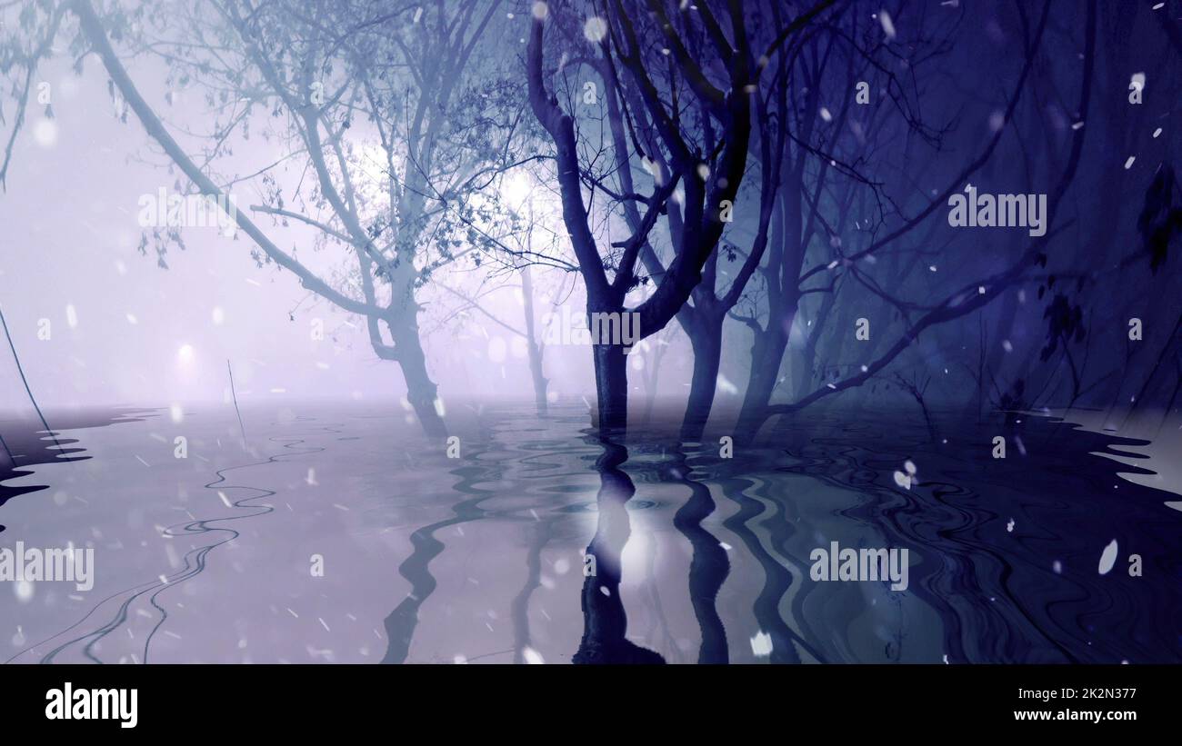 Snowing in foggy trees reflected in water Stock Photo - Alamy