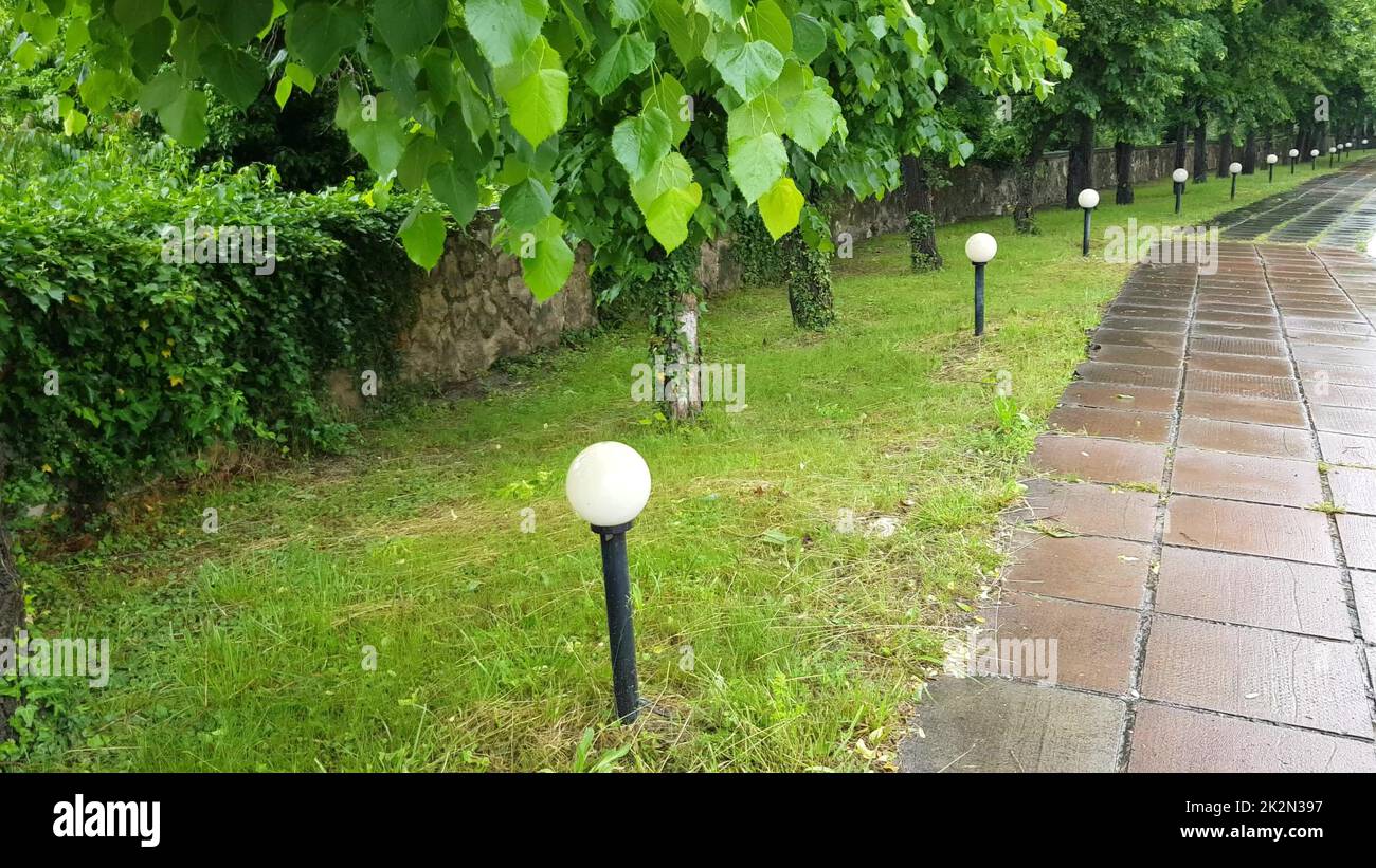 sidewalk with concrete slabs wet from the rain, lanterns and trees ...