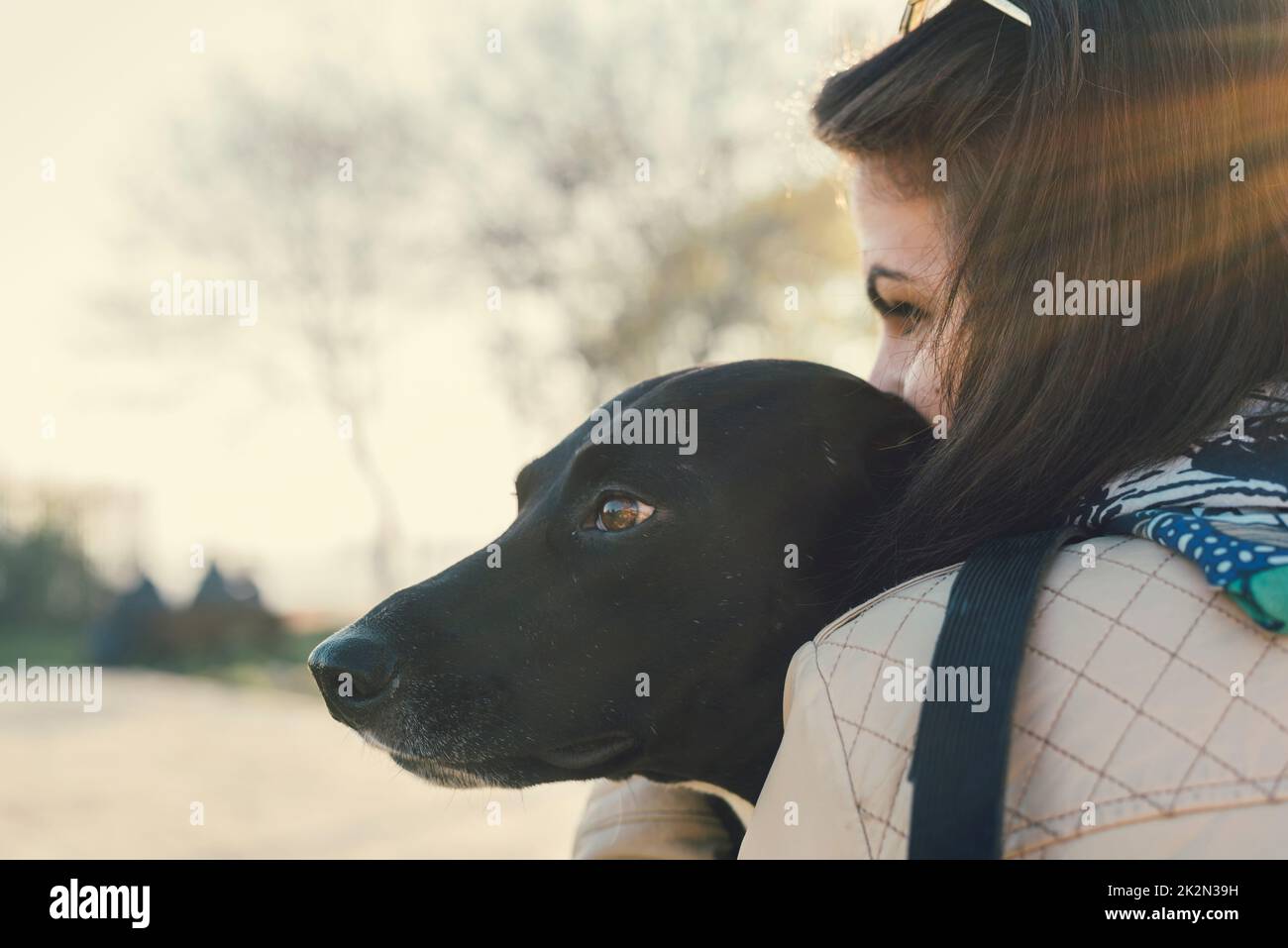 Girl and her dog Stock Photo - Alamy