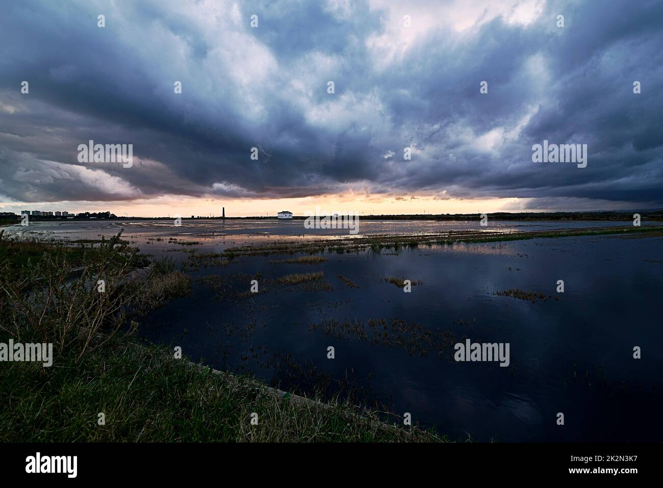 Flooded rice field hi-res stock photography and images - Alamy