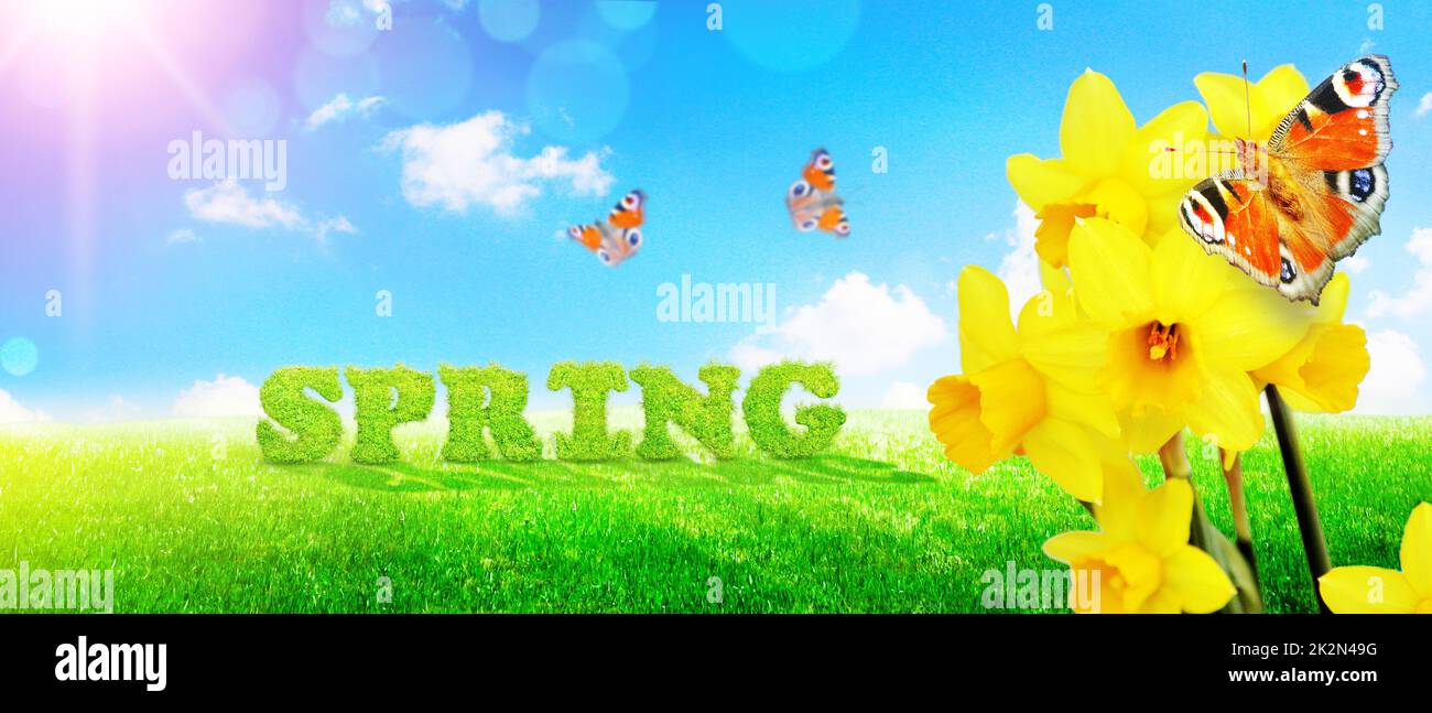 Summer and spring panorama hi-res stock photography and images - Alamy
