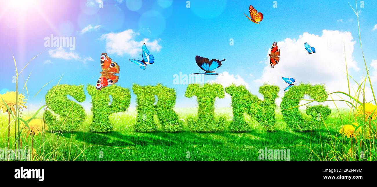 Spring and summer panorama with word spring Stock Photo - Alamy