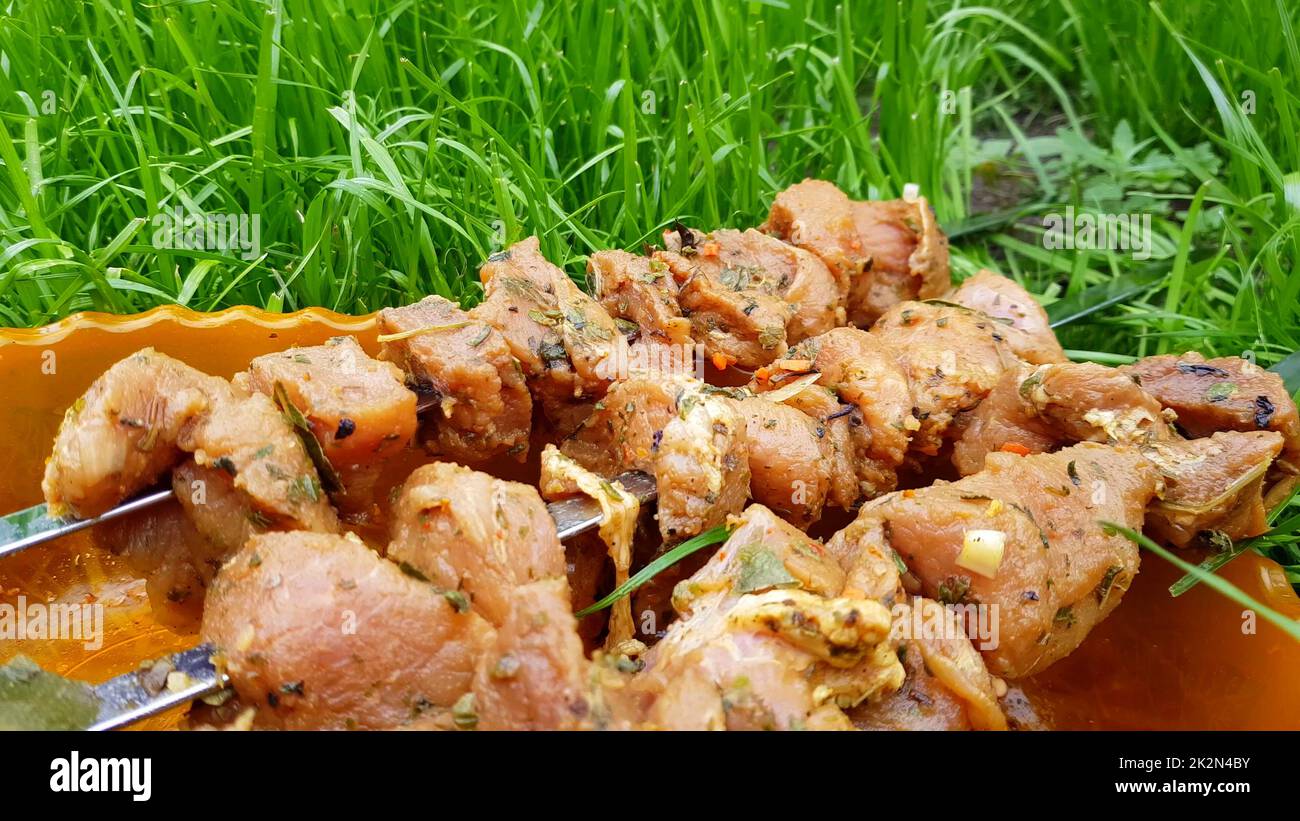 Fresh raw pork meat strung on a skewer for cooking on coals, on a ...