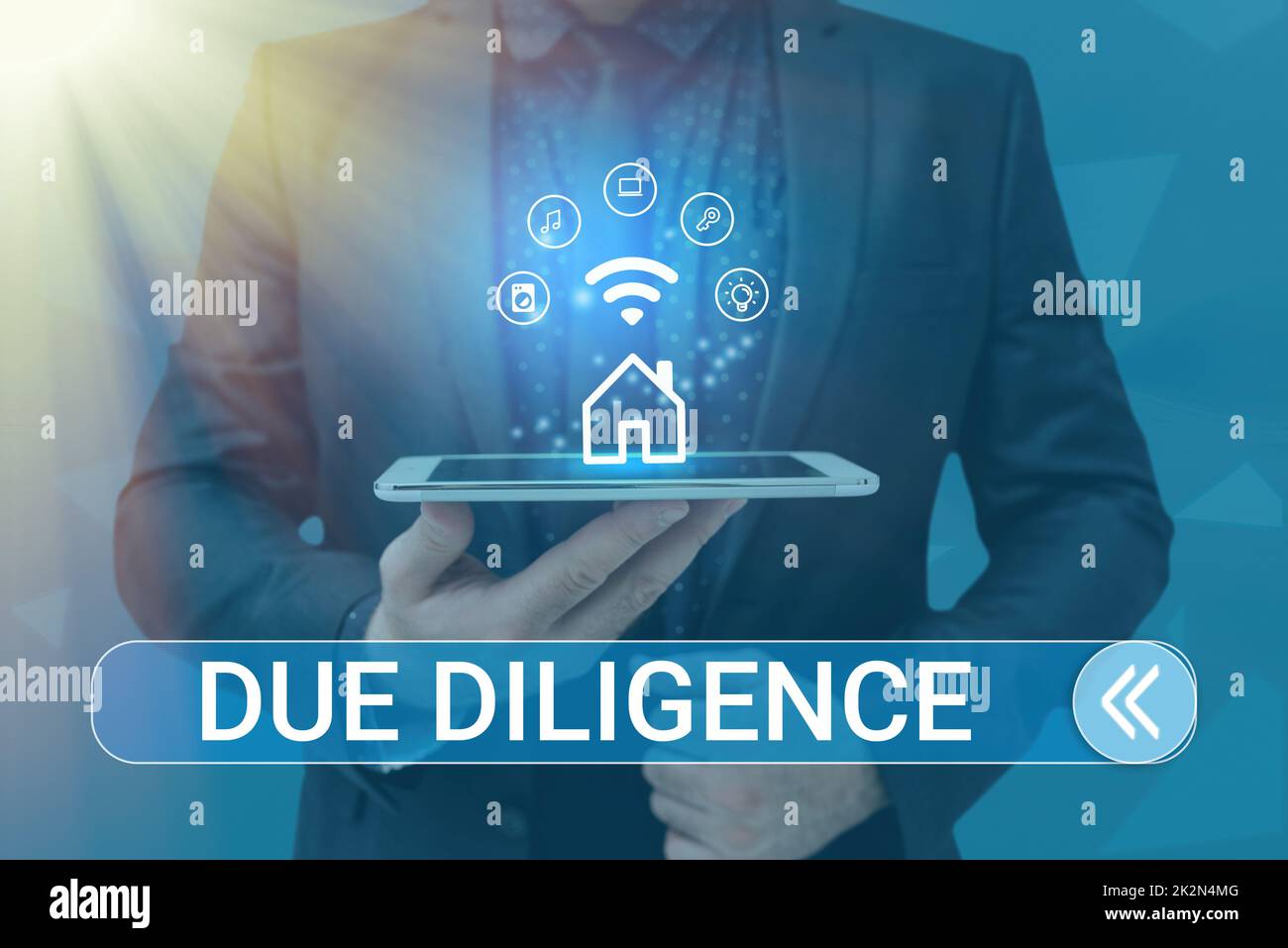 Text sign showing Due Diligence. Business showcase Comprehensive ...