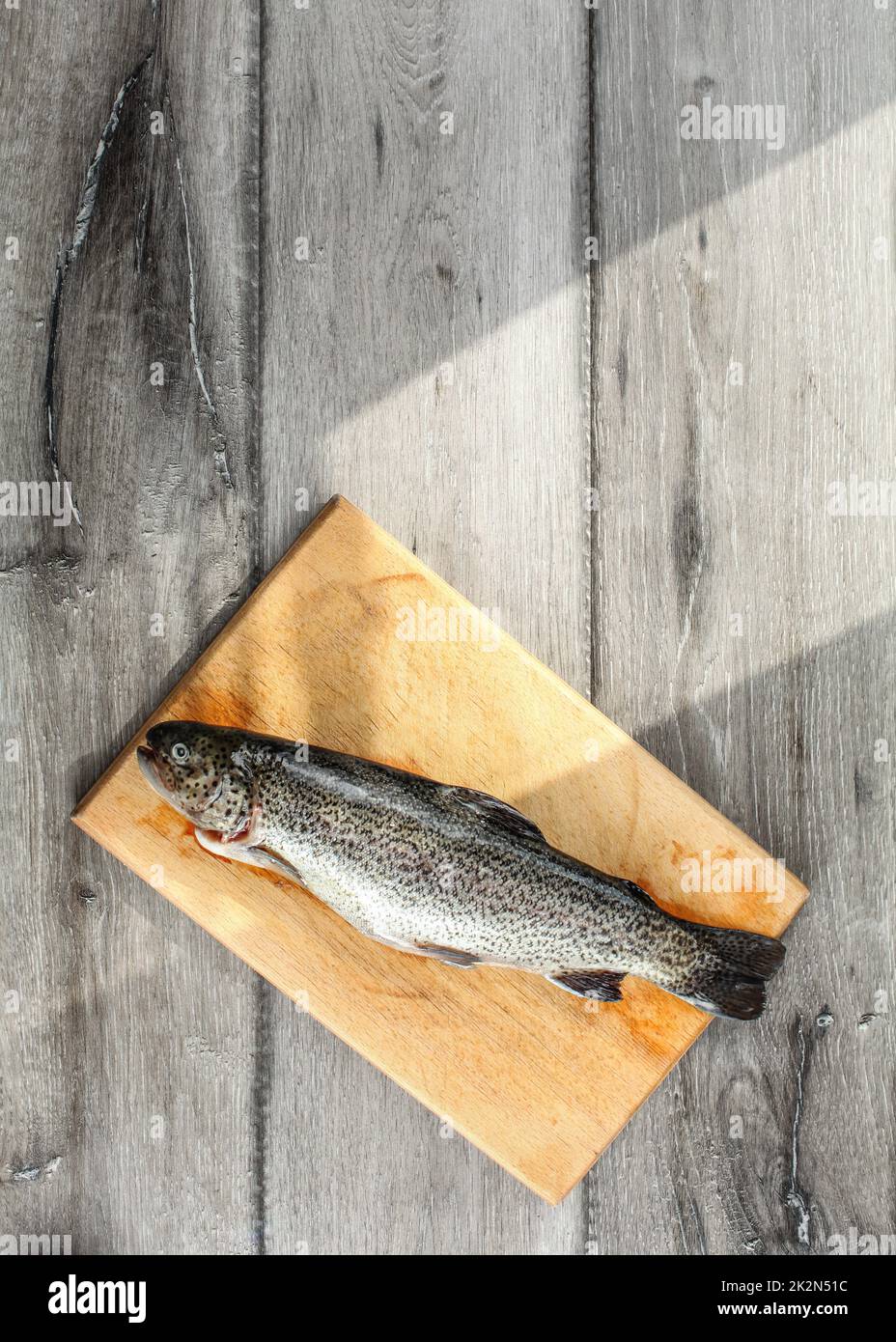 Tabletop view, raw trout fish on chopping board, morning sun shining ...
