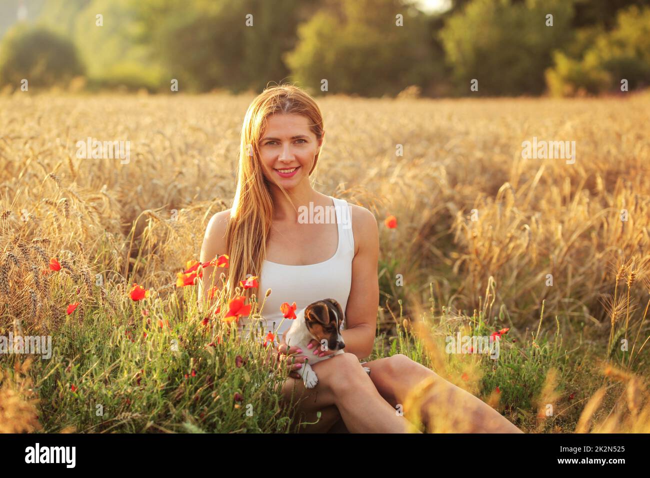 Young woman sitting with Jack Russell terrier puppy on her lap ...