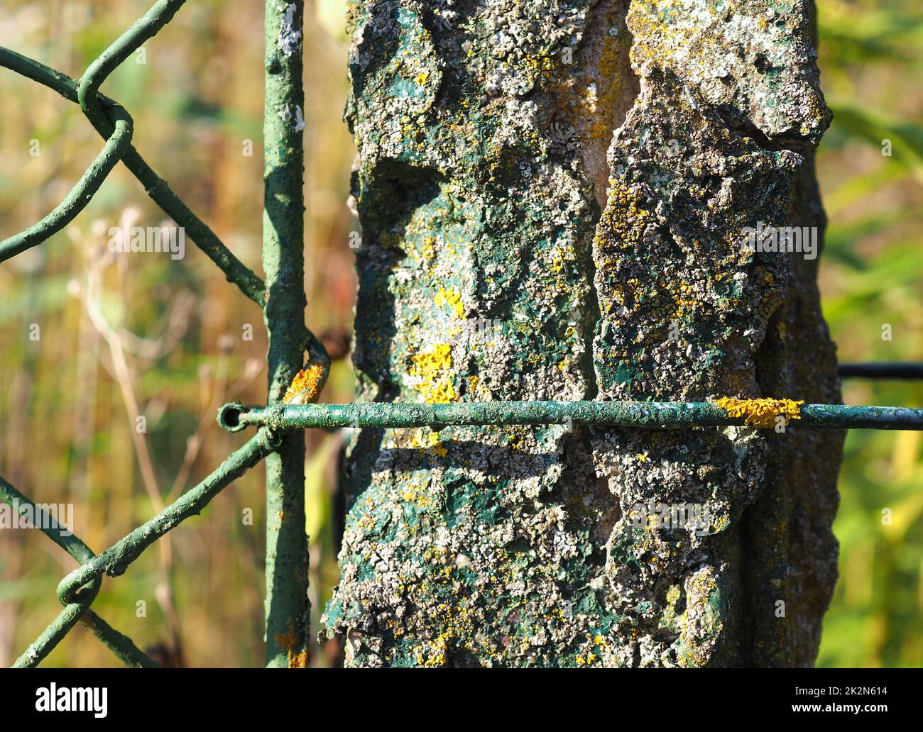 Old fence post Stock Photo - Alamy