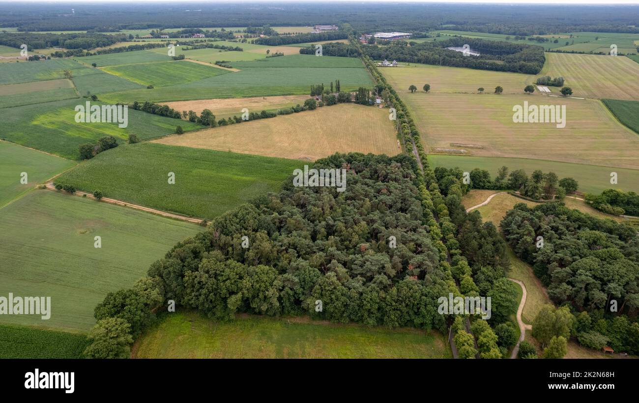 Land or landscape of green field in aerial view. Include agriculture ...