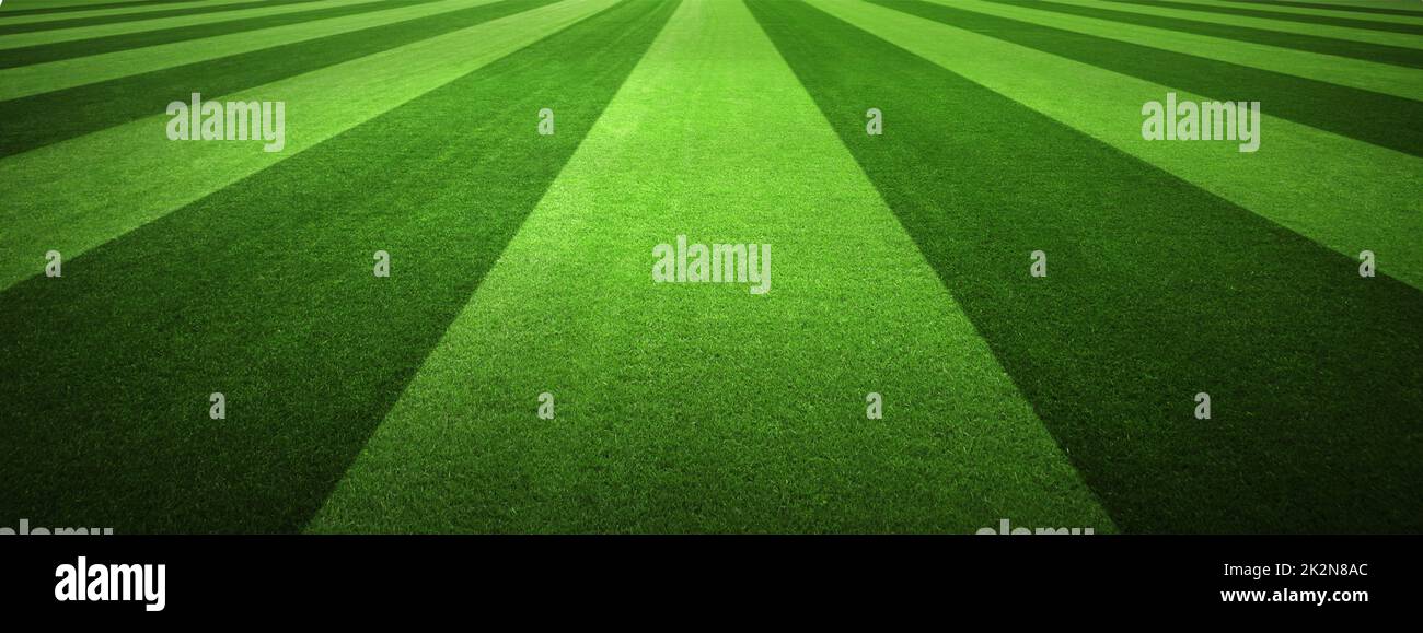 Soccer field with green grass. Sport lawn background Stock Photo - Alamy