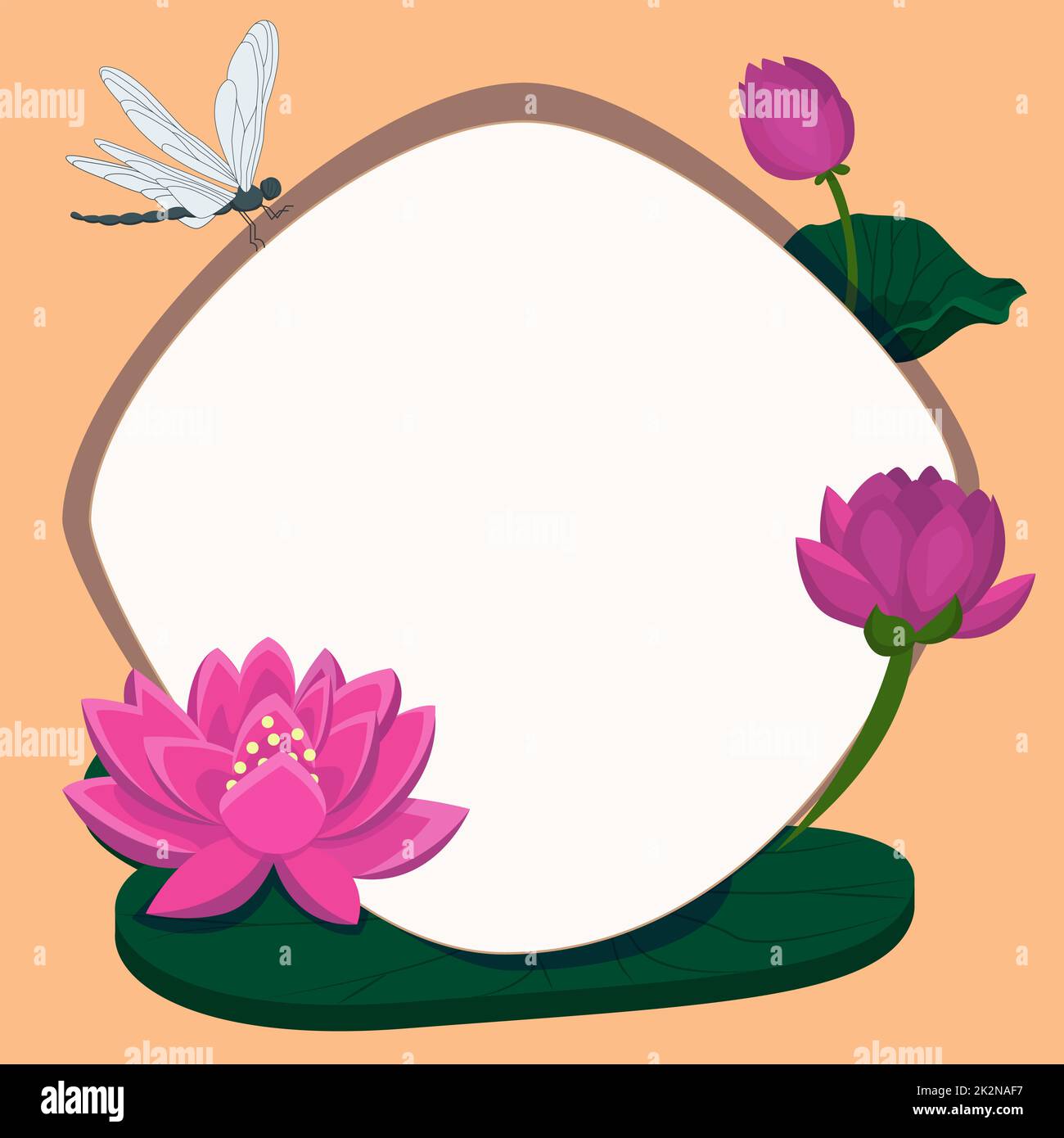 Blank frame decorated with colorful flowers and foliage arranged ...