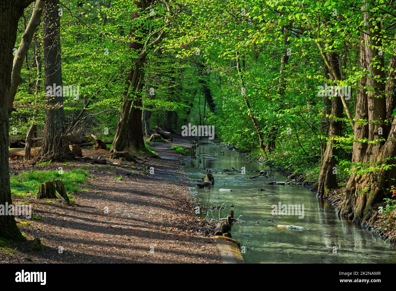 Enlighten pathway hi-res stock photography and images - Alamy