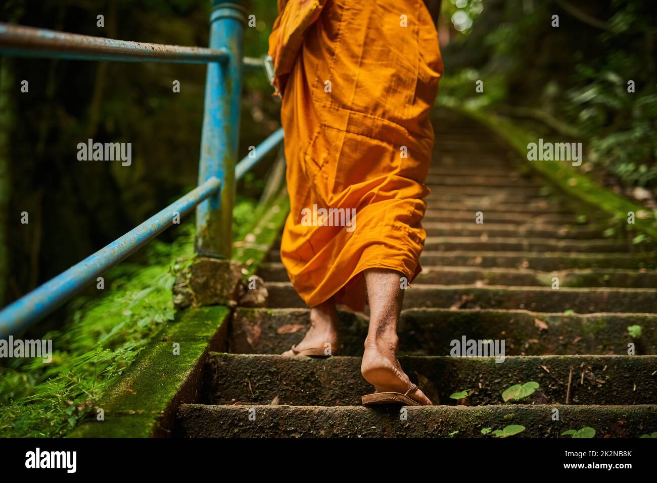 The path to enlightenment has many steps. Rearview shot of a buddhist ...