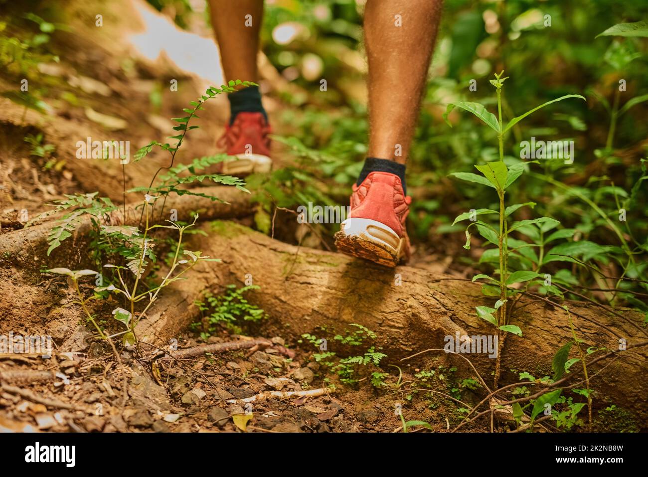 Jungle hike feet hi-res stock photography and images - Alamy