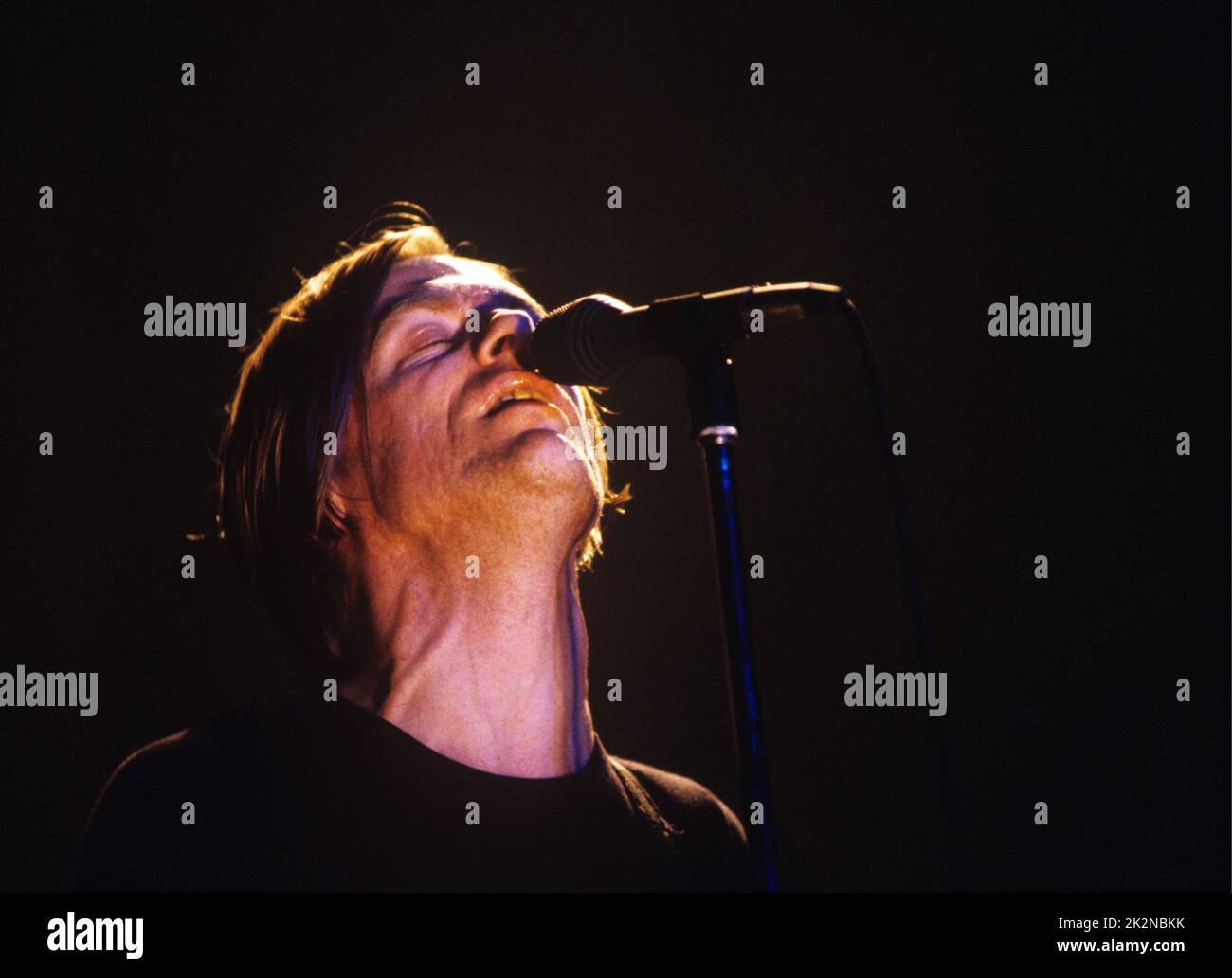 Bryan adams in concert hi-res stock photography and images - Alamy