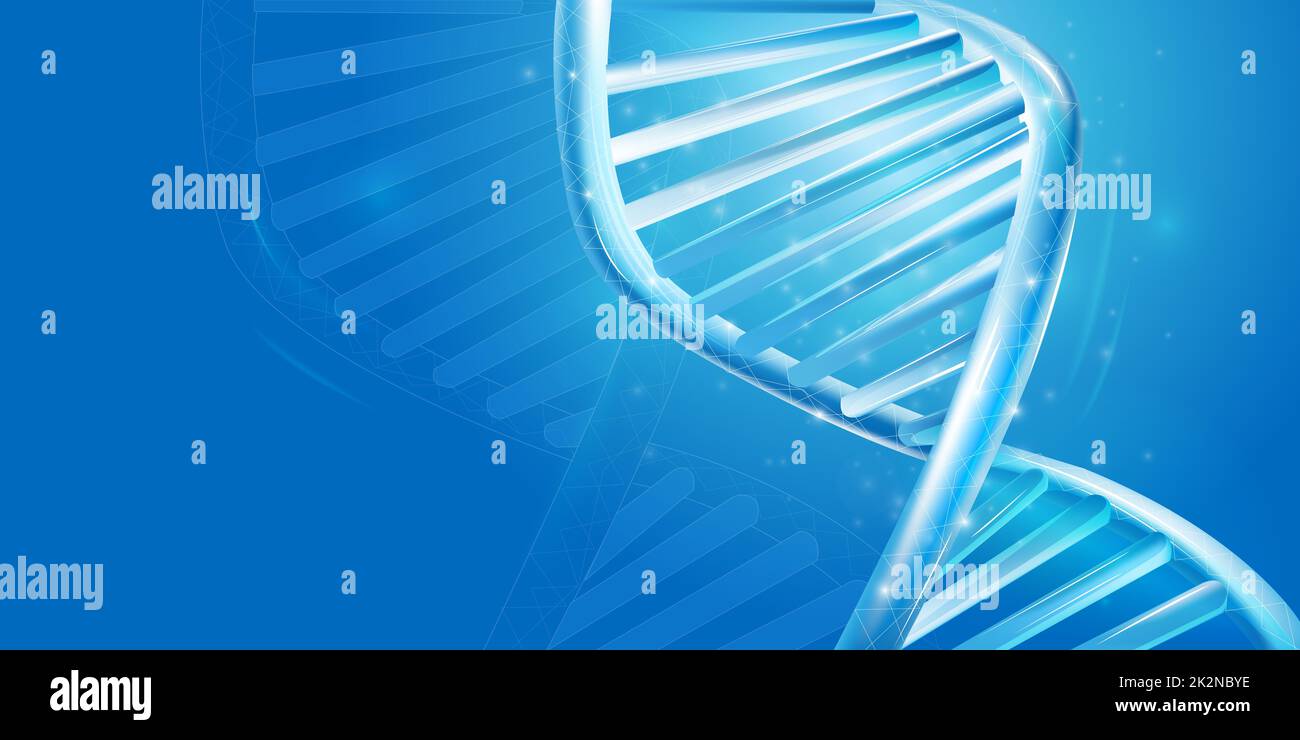 Fragment of double helix DNA strand close-up Stock Photo - Alamy