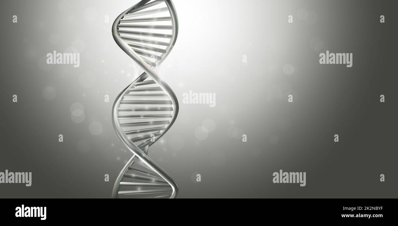 Double-stranded helix DNA model in gray color Stock Photo - Alamy