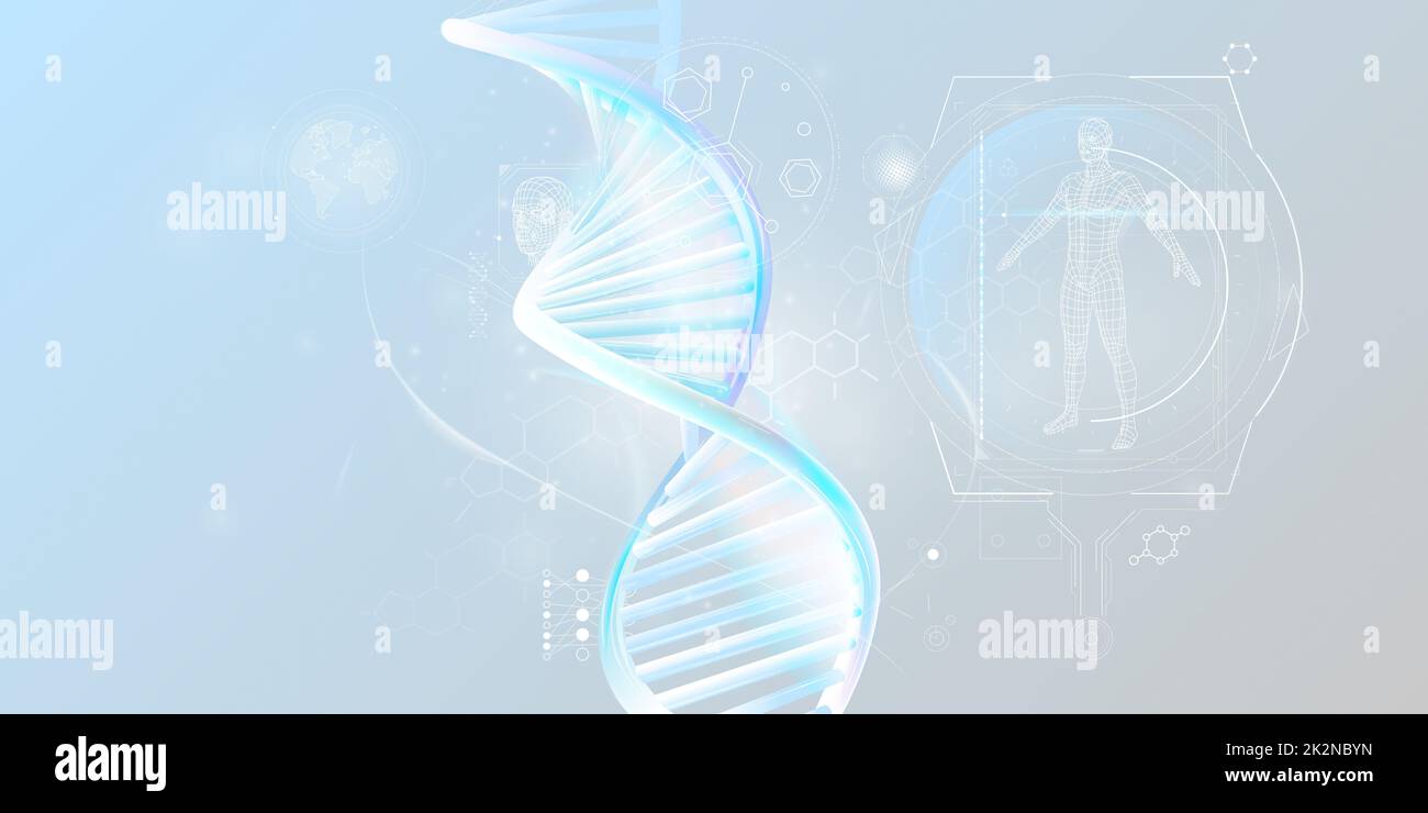 DNA double helix and human research infographic data Stock Photo - Alamy