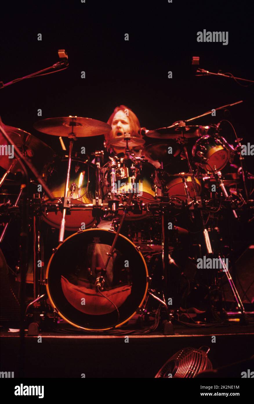 Phish hi-res stock photography and images - Alamy