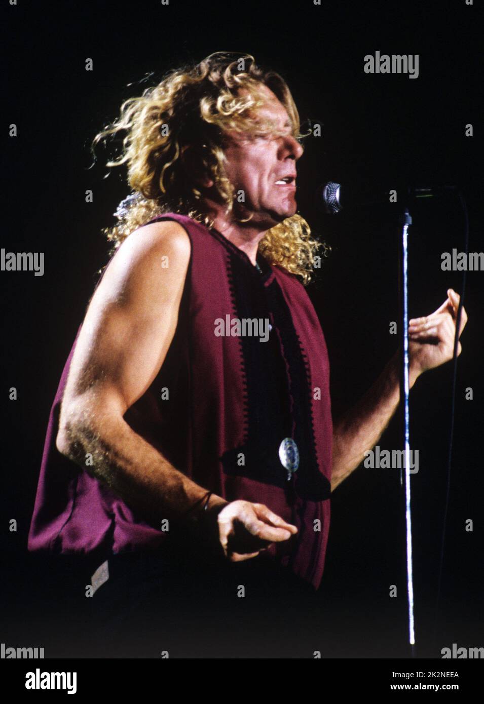 PAGE AND PLANT ; live in concert, UK ; 1990s ; Credit : Mel Longhurst ...