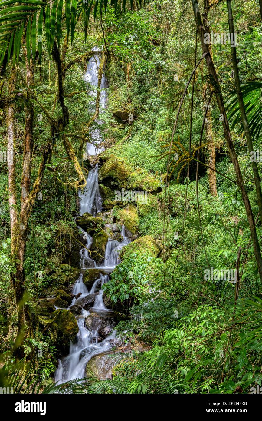 Small wild mountain river waterfall. San Gerardo de Dota, Costa Rica ...