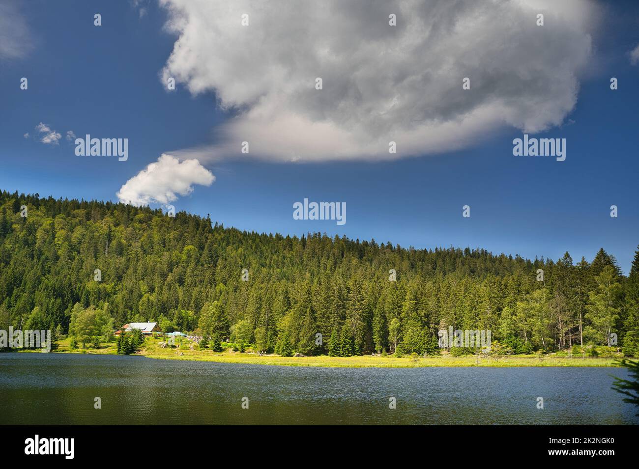 Beautiful small water lake in hi-res stock photography and images - Alamy