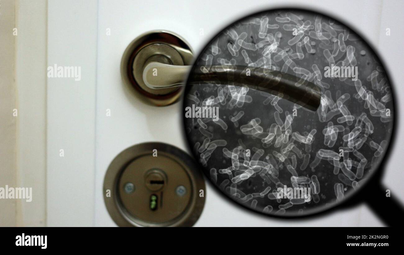 Searching for bacteria on door knob Stock Photo - Alamy