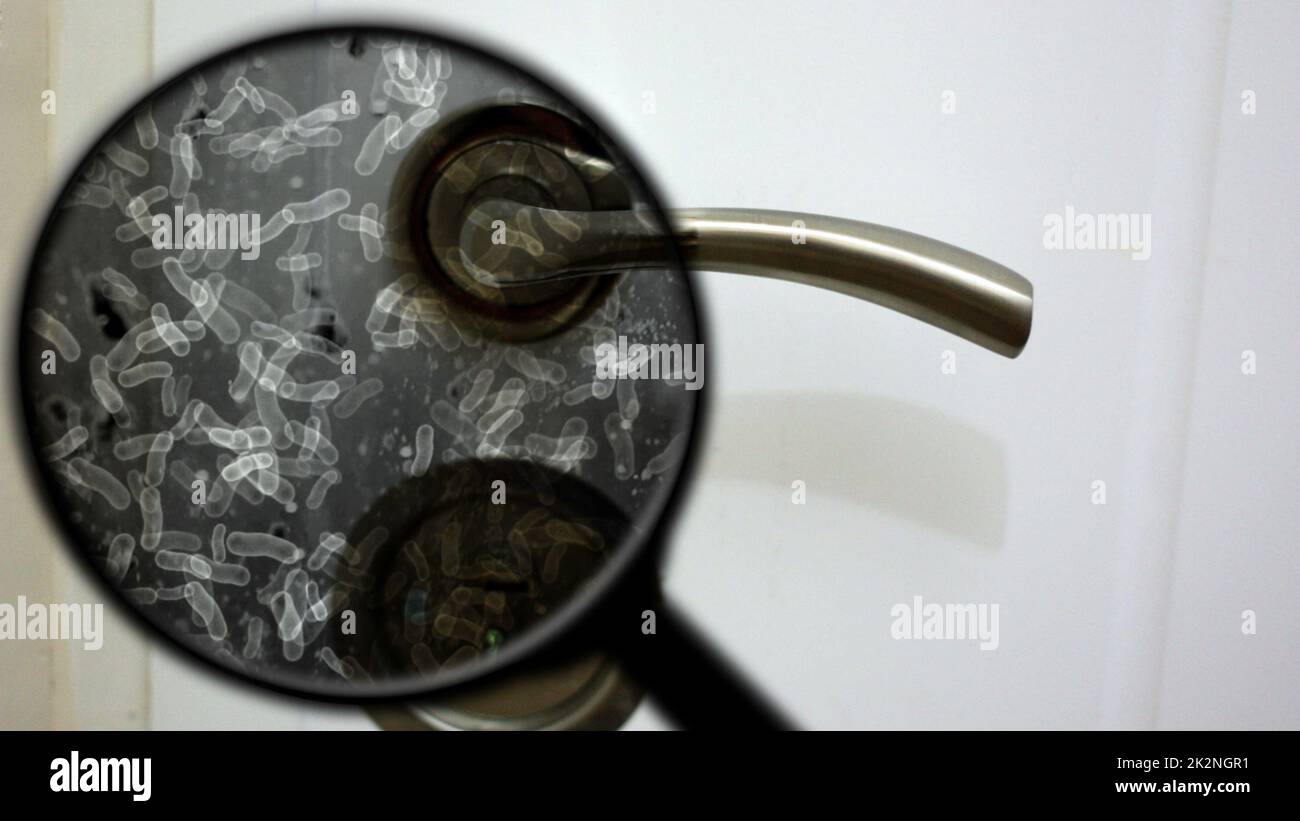 Bacteria room hi-res stock photography and images - Alamy