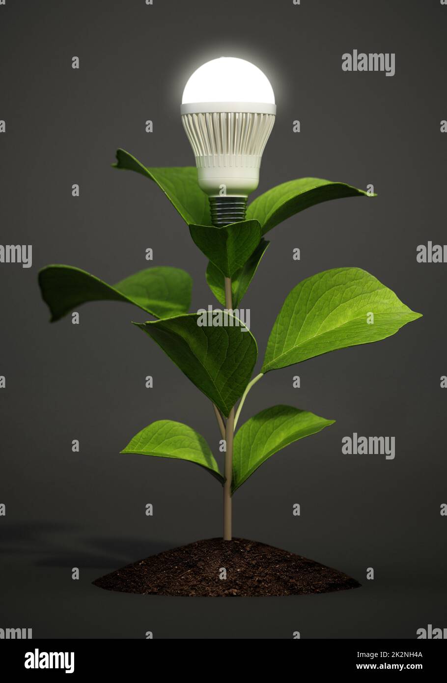 Energy efficient LED lightbulb on plant with green leaves. 3D ...