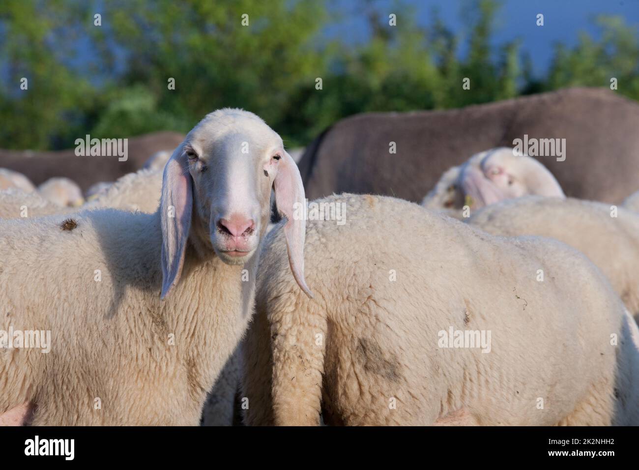 Whats matter hi-res stock photography and images - Alamy
